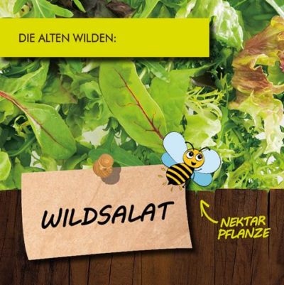 Wasabino - LA’BIO! Kräutergarten
